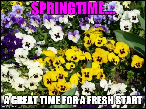 Image tagged in flowers - Imgflip