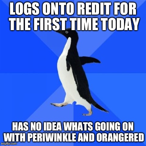 Socially Awkward Penguin Meme - Imgflip