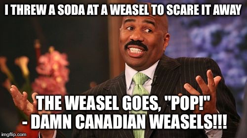 Bad Pun Dog Meme - Imgflip