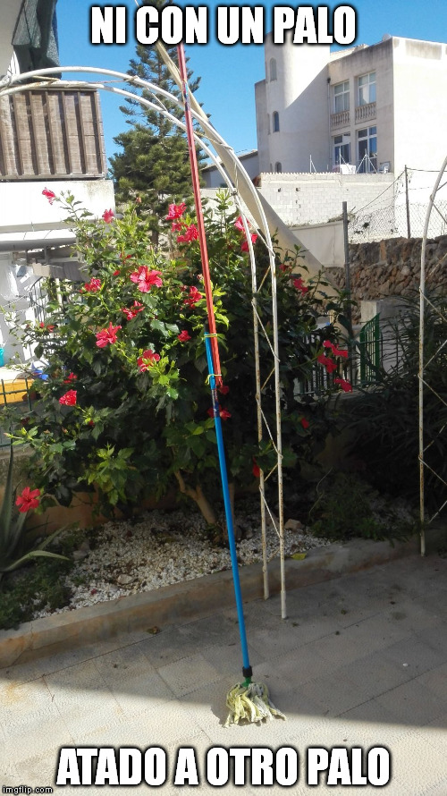 Image tagged in ni con un palo - Imgflip