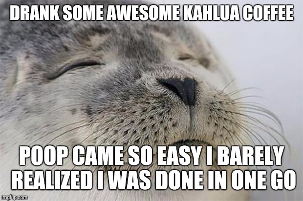 Satisfied Seal Meme - Imgflip