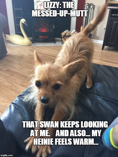 Lizzy: The Messed-Up-Mutt - Imgflip