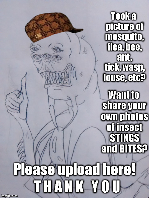 insektenstichebehandeln.de - Imgflip