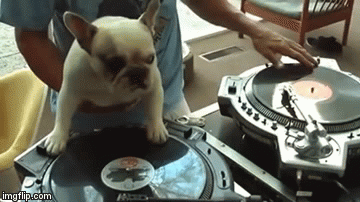 DJ Dog & Friend - Imgflip