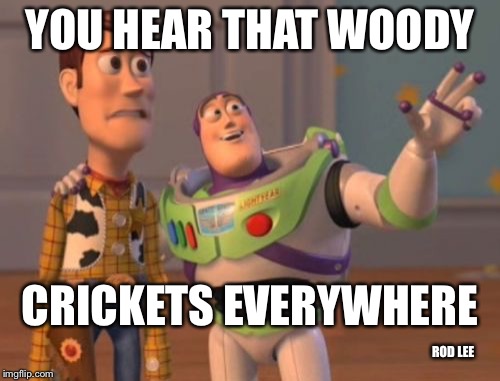 I Hear Crickets Meme