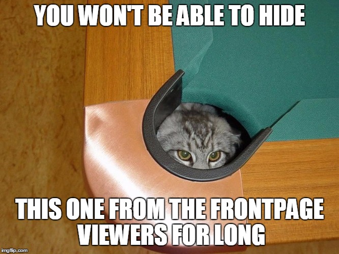 Hiding the pain is all the rage right now, how about hiding spots ...