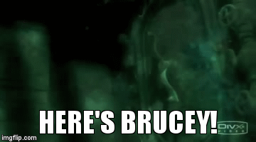 HERE'S BRUCEY - Imgflip