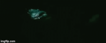 Shark Laugh Scene - Imgflip