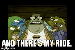 Animated GIF - Imgflip