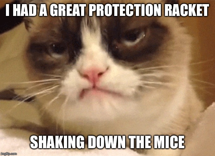 Grumpy Cat Meme - Imgflip