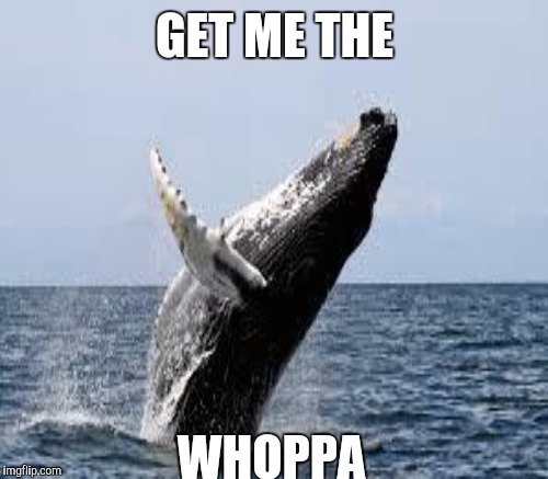 Arnold at Burger King - Imgflip