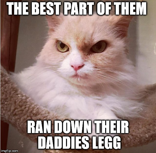 You're ugly - Imgflip