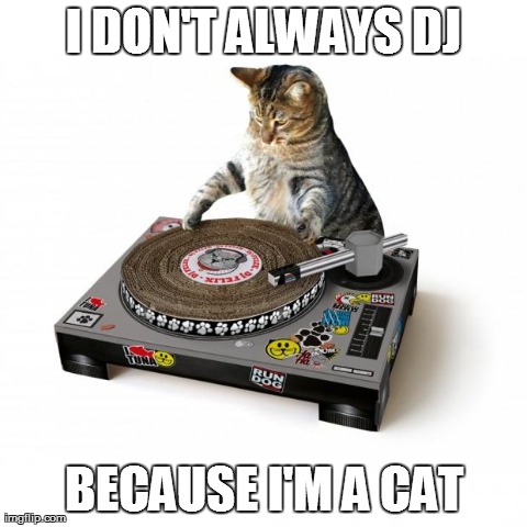 My mom's attempt at making a meme from a pic of my cat. Bless her heart ...