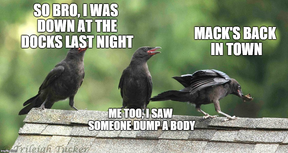 And someone's sneakin' 'round the corner Could that someone be Mack the ...