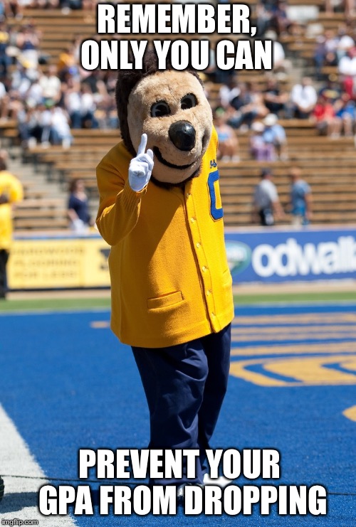 Image tagged in oski the bear - Imgflip